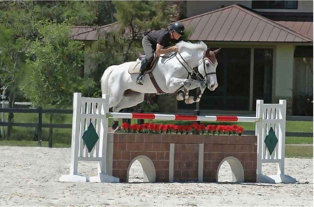 Burlingham Complete Jump ASA54 - Arena Supplies