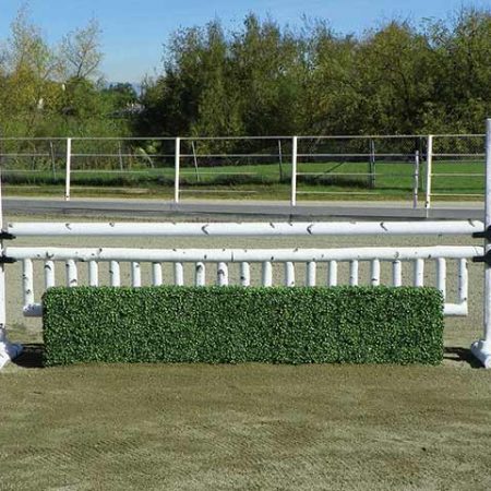 Boxwood Hedge - Jump Fillers and Accessories - Arena Supplies