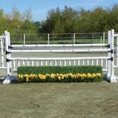 Complete Birch Oxer Jump BSA70 - Arena Supplies