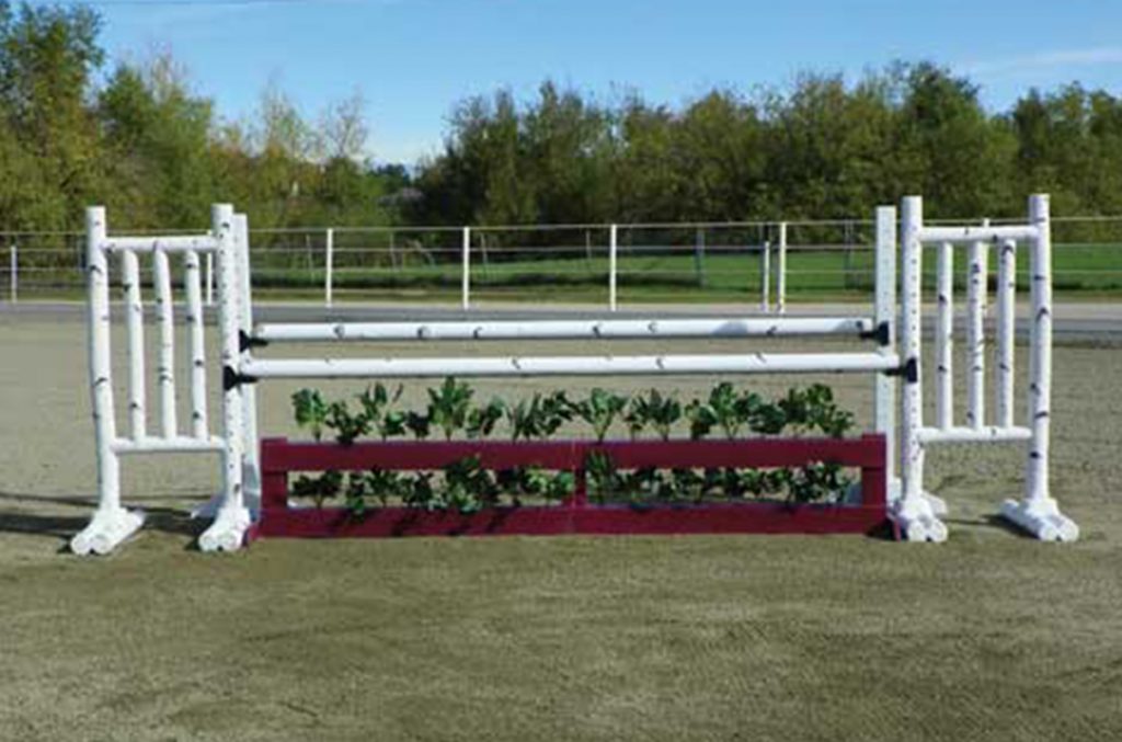 Birch With Brush Box Oxer Jump BSA74 - Arena Supplies