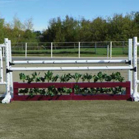 Birch With Brush Box Oxer Jump BSA74 - Arena Supplies