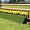 Turf Triangle Flower Box - Horse Jump Fillers - Arena Supplies