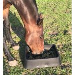 Gradual Feeder - Equestrian Slow Feeder - Arena Supplies