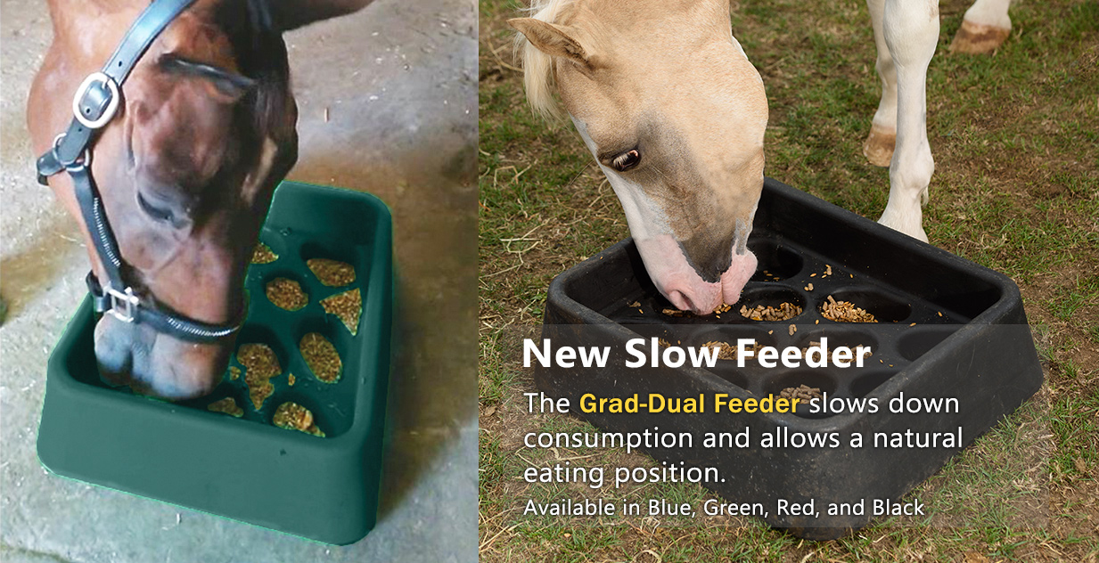 arena-supplies-new-grad-dual-slow-feeder - Arena Supplies