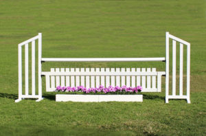 Training Standards - Horse Jumps - Arena Supplies