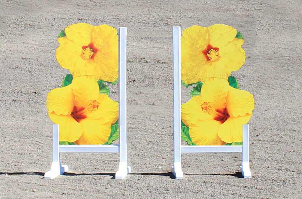 Jump Standards Archives - Arena Supplies